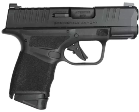 Hellcat 9mm Pistol | LEO Only